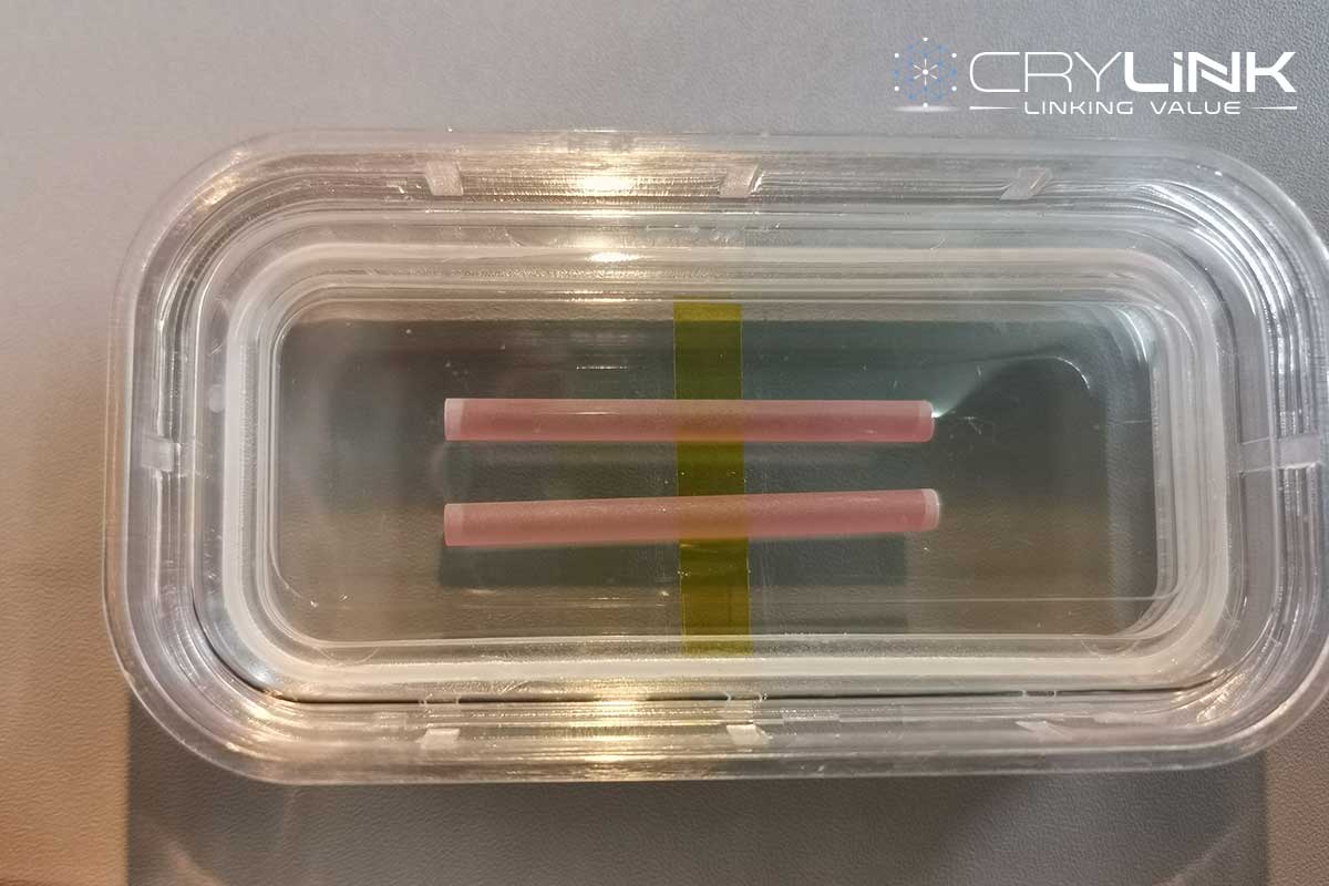 Er:YAG Crystal Crylink have Supplied - Laser Crylink