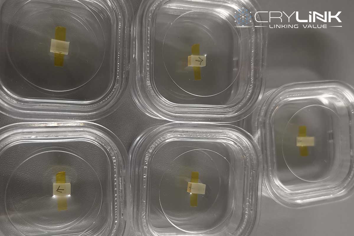 Pr:YLF crystal case (2) - 3×3×5 mm for 522 nm laser - Laser Crylink