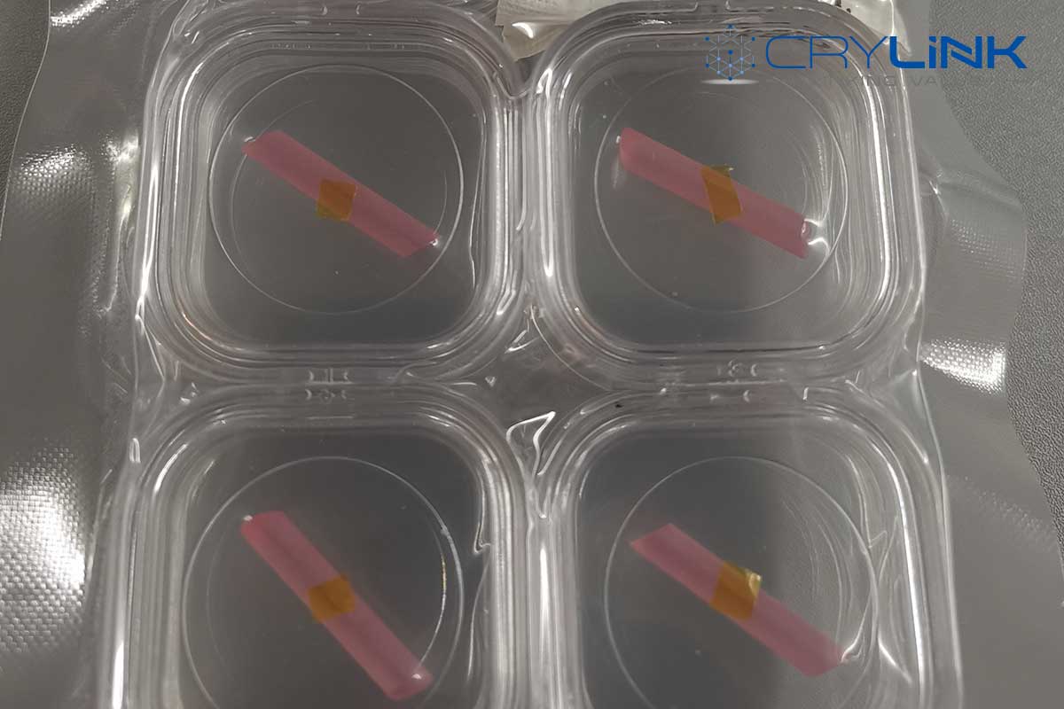 Ti:Sapphire Crystal Crylink have Supplied - Laser Crylink