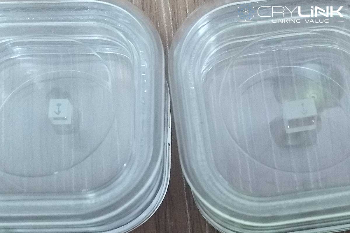 Yb:CALGO Crystal - Laser Crylink