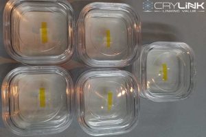 Pr:YLF crystal case (2) - 3×3×5 mm for 522 nm laser - Laser Crylink